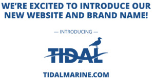 Mussel Seed Collection | Mussel Spat | Mussel Seed